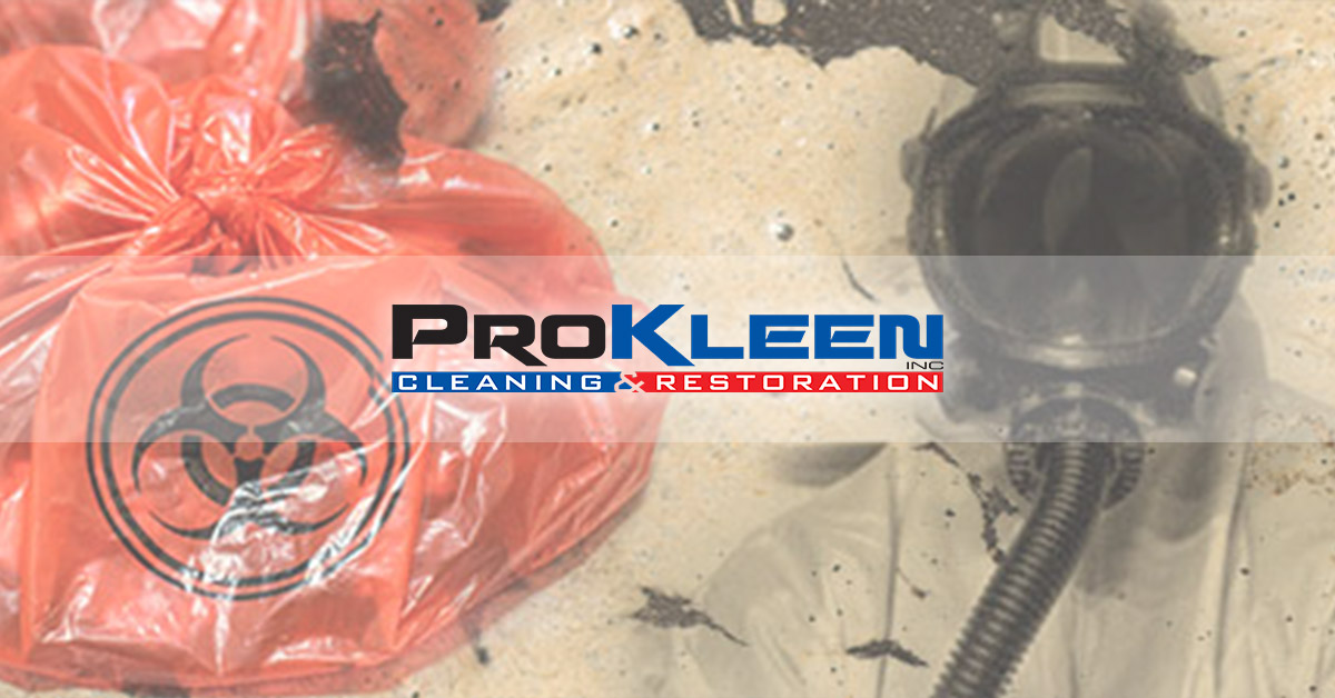 Sewage Cleanup and Biohazard Removal | Prokleen Inc